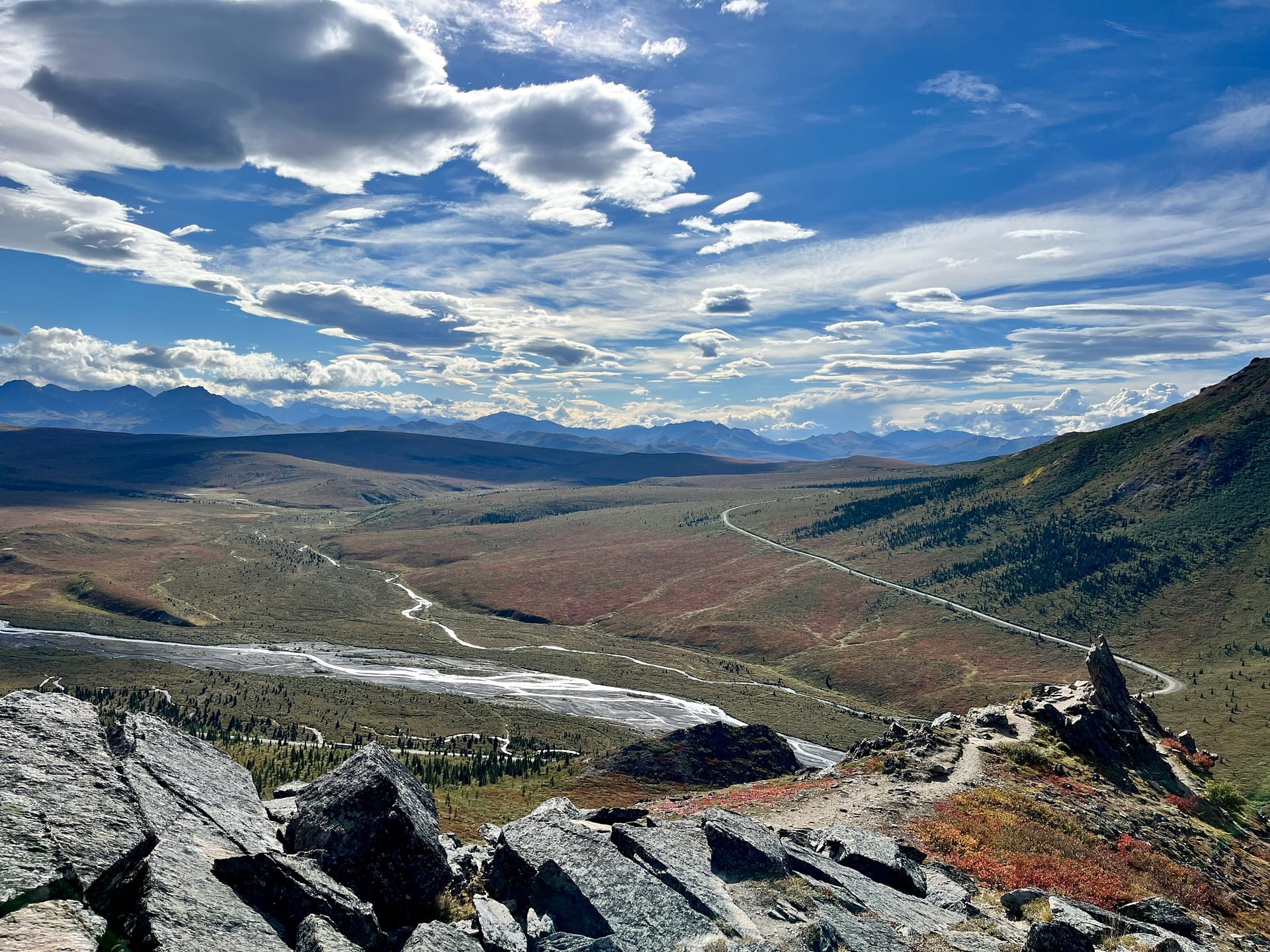 Denali by Gravel Bike: Savage River to Sable Pass - WilderVet